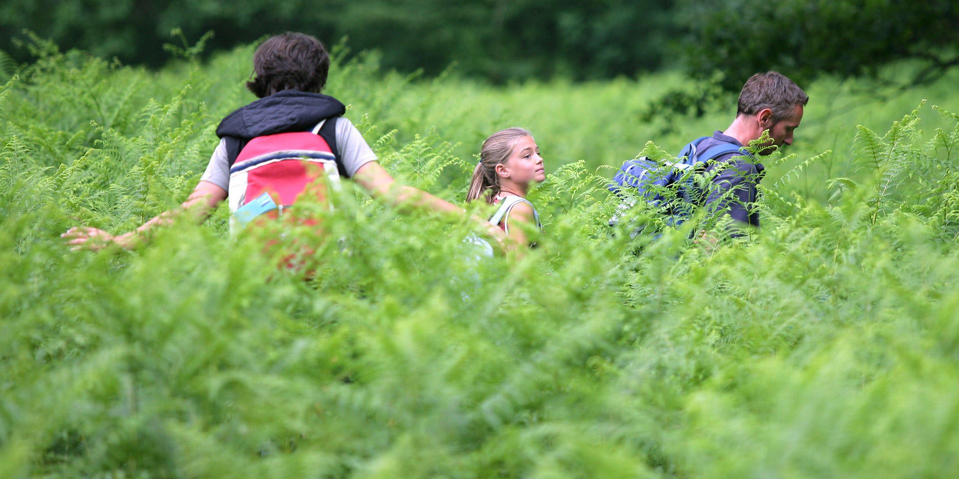 Baladez-vous en sécurité avec Loopi | Limousin – Nouveaux Horizons