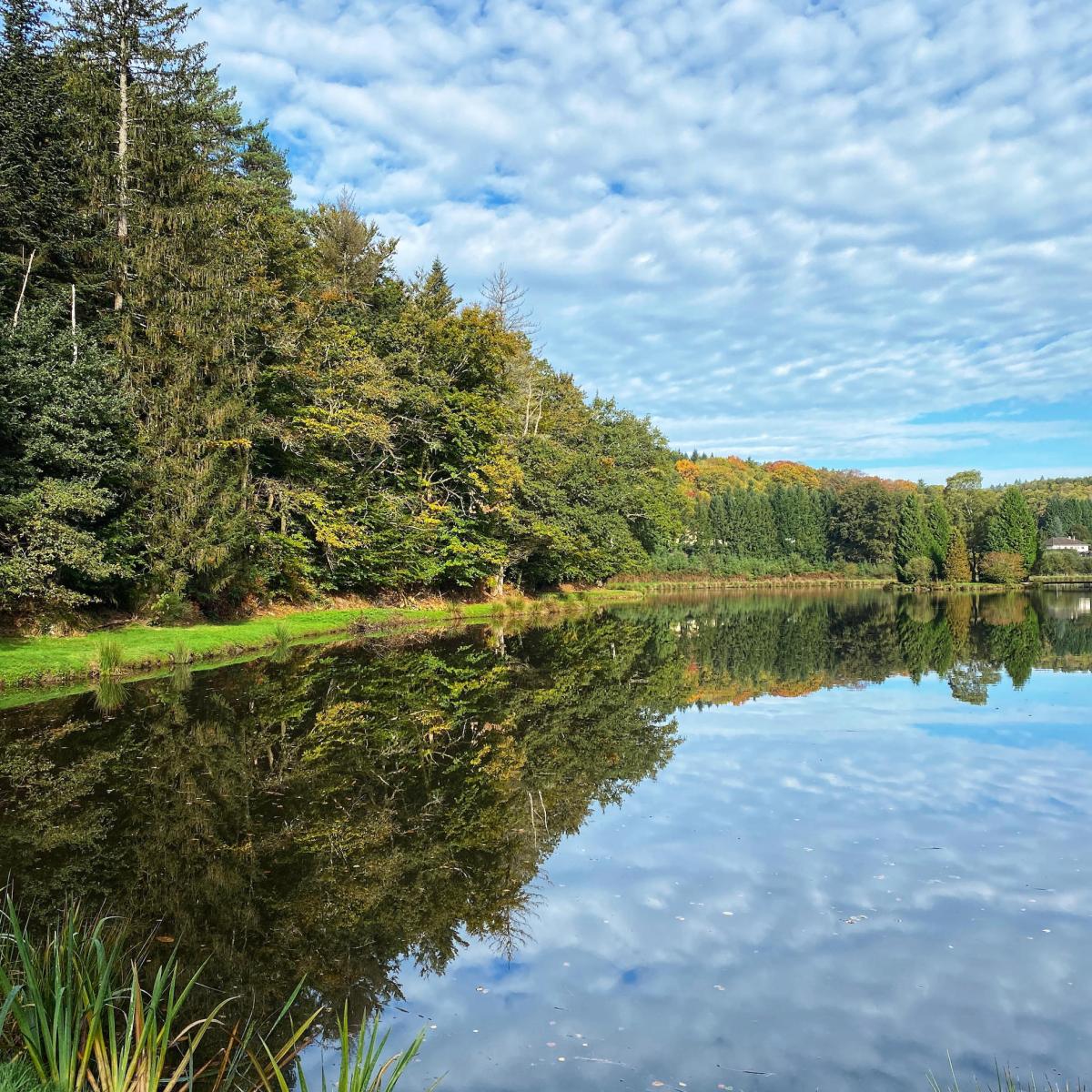 Learn to fish | Limousin – Nouveaux Horizons