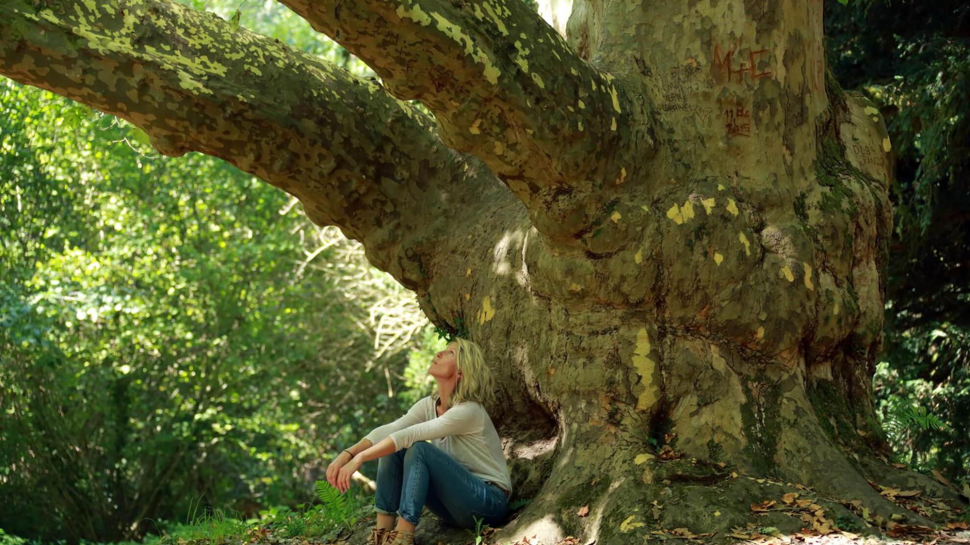 Pierres de caractère | Limousin – Nouveaux Horizons