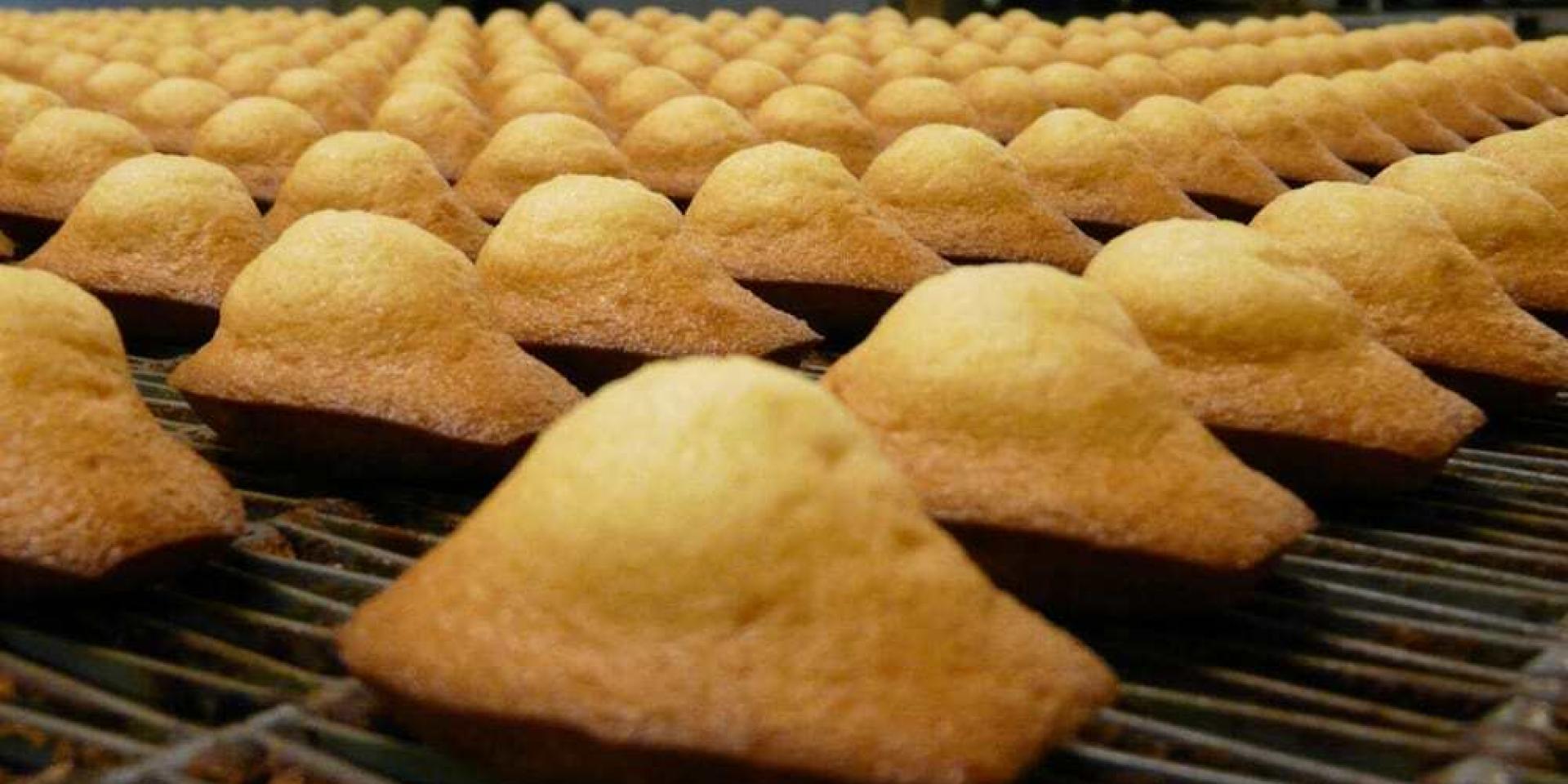 La Madeleine Bijou | Limousin – Nouveaux Horizons