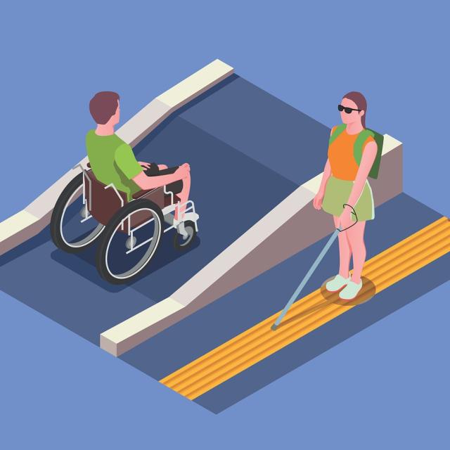Handicap mobility store